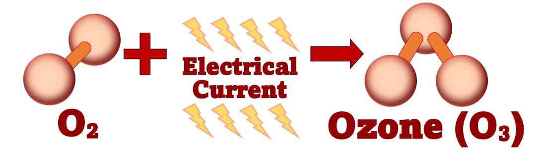 Ozone Therapy in Richfield, OH | Dancing Paws Animal Wellness Center